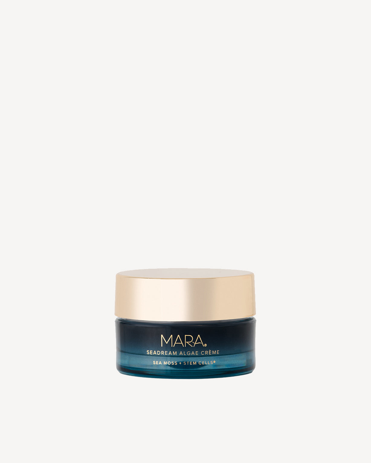 SeaDream Algae Creme Moisturizer for Firming & Tightening with Sea Moss ...