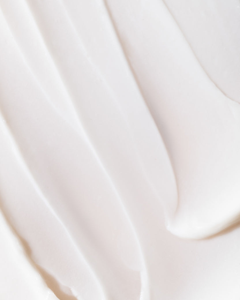 SeaDream Algae Creme Moisturizer for Firming & Tightening with Sea Moss ...